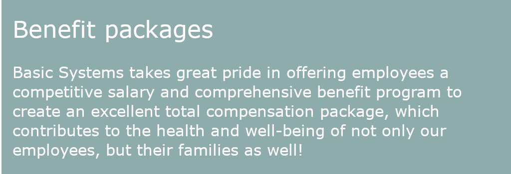 Careers – Basic Systems Inc